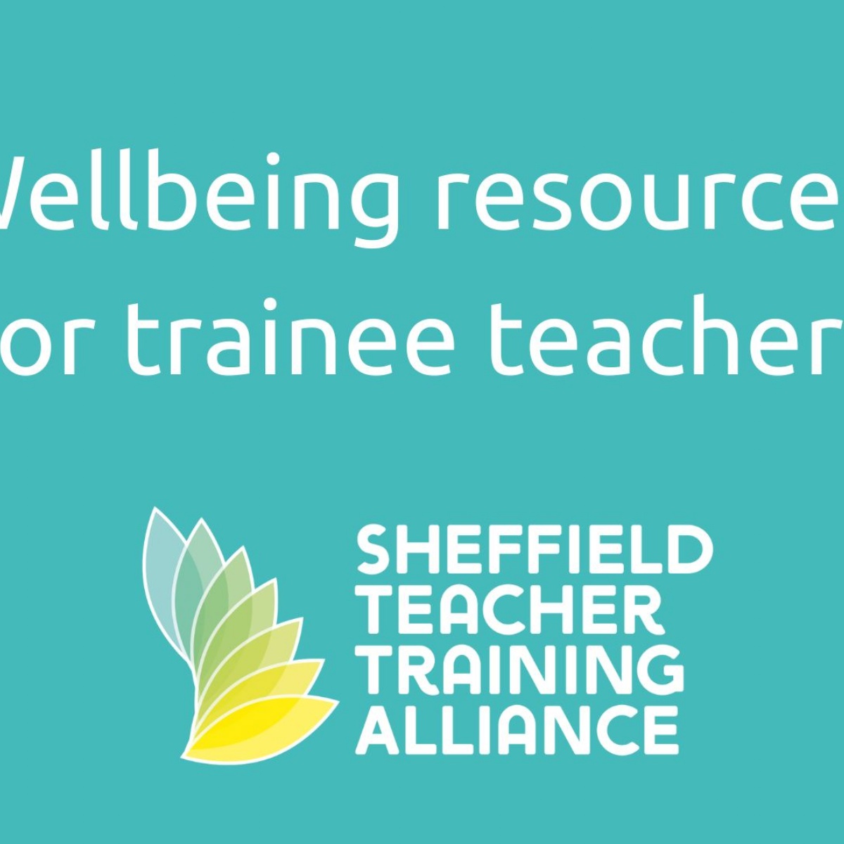 Sheffield Teacher Training Alliance Wellbeing Tips For Trainee Teachers